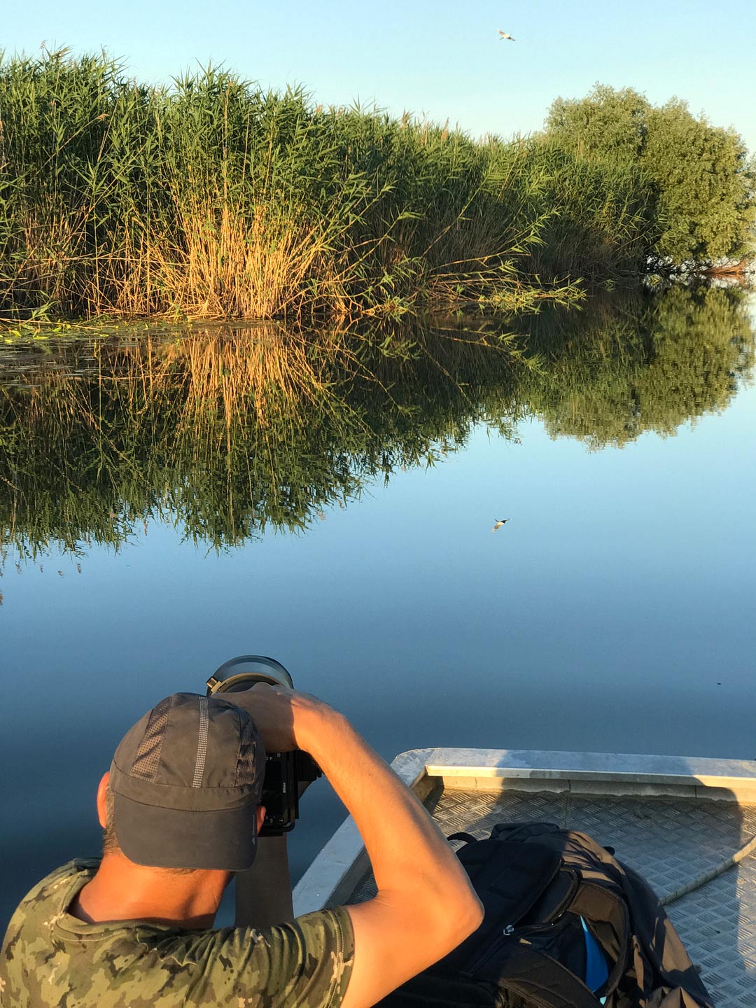 Excursii cu barci rapide in Delta Dunarii | Excursii in Delta Dunarii ...
