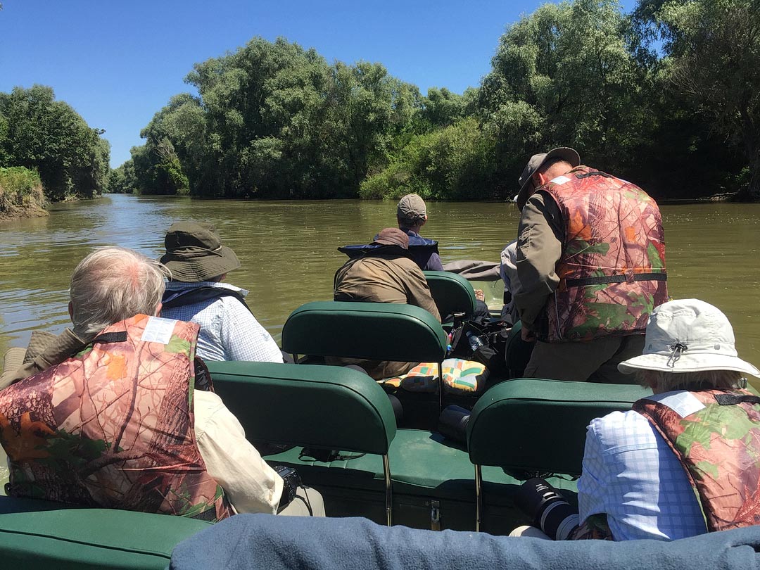 Inchiriere barci | Excursii in Delta Dunarii cu IBIS TOURS
